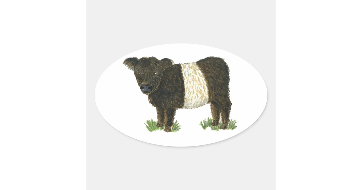 'Beltie' Belted Galloway Oval Sticker | Zazzle