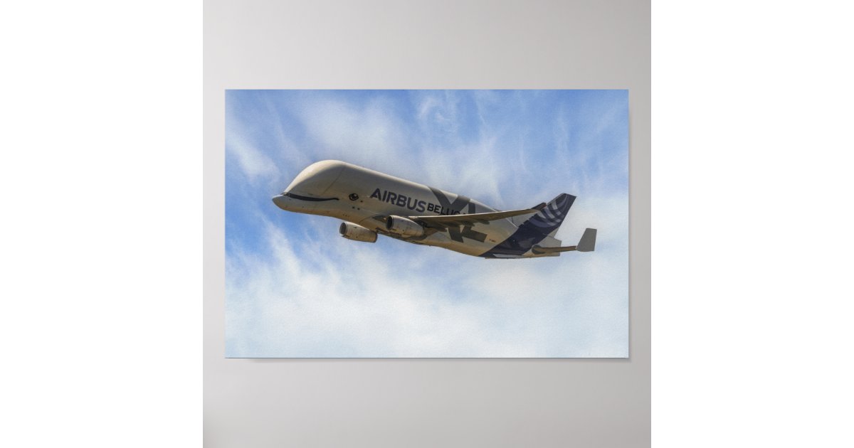 Beluga Poster | Zazzle