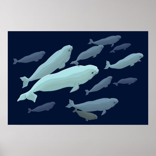 Beluga Whale Art Print Marinelife Whale Painting | Zazzle.com