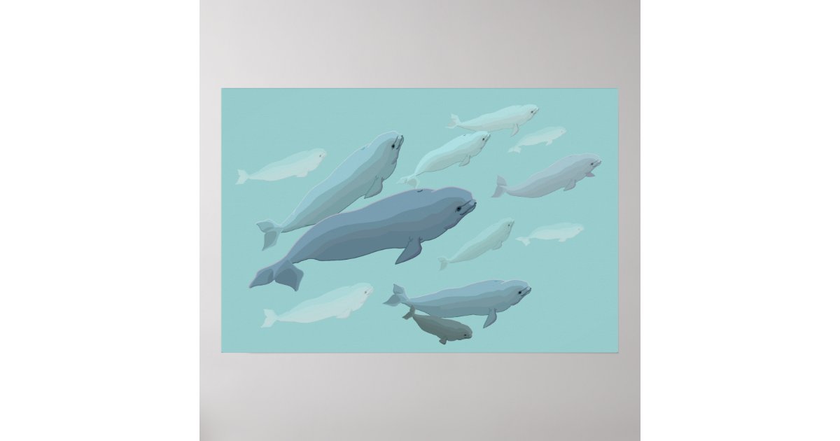 Beluga Whale Art Print Marinelife Whale Poster | Zazzle