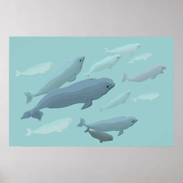 Beluga Whale Art Print Marinelife Whale Poster | Zazzle