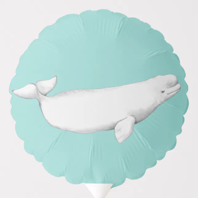 Beluga Whale Illustration Whale Lover Gift Blue Balloon | Zazzle