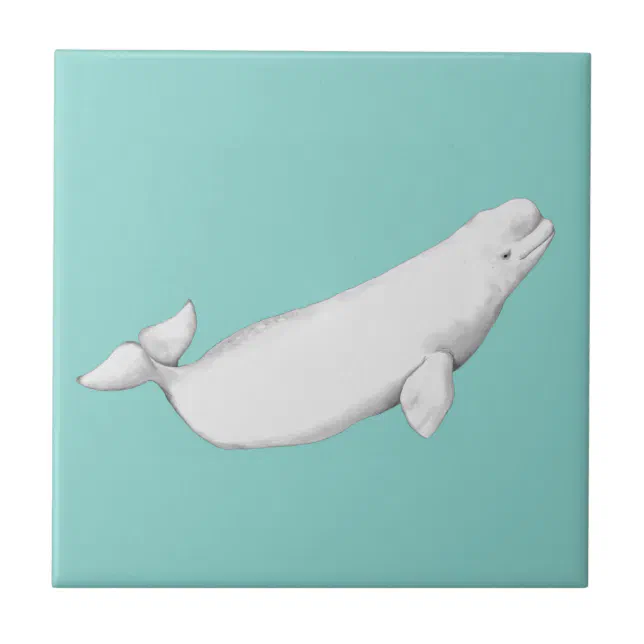 Beluga Whale Illustration Whale Lover Gift Blue Ceramic Tile | Zazzle
