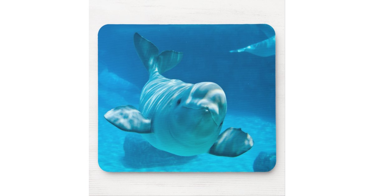 Beluga Whale Mouse Pad | Zazzle