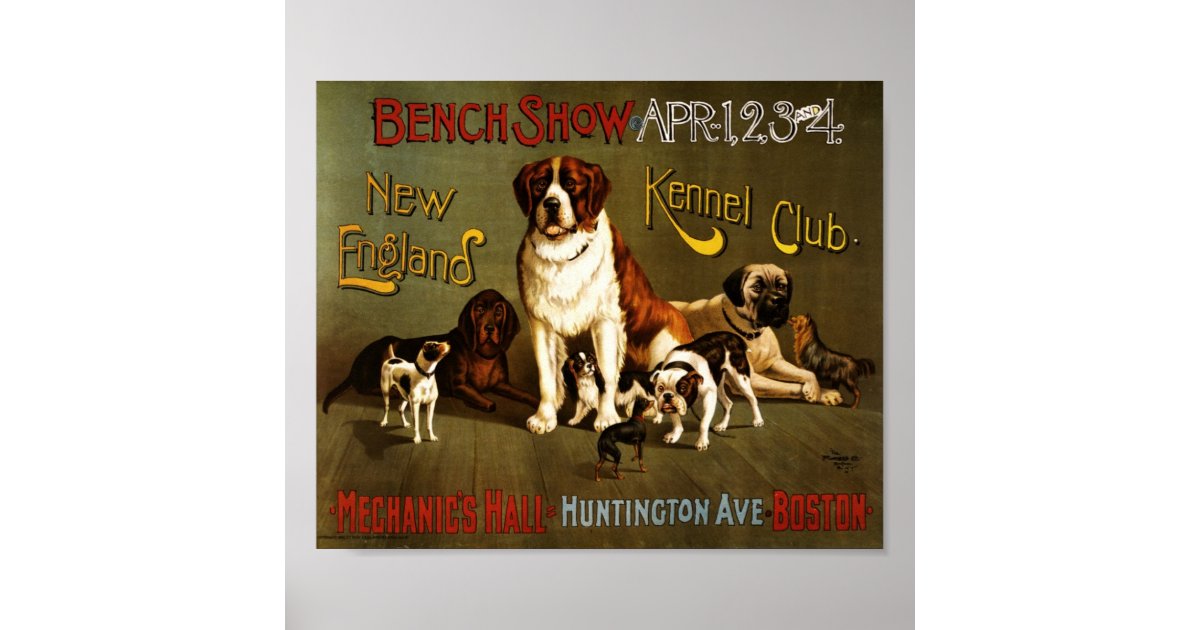 Bench Show Poster | Zazzle