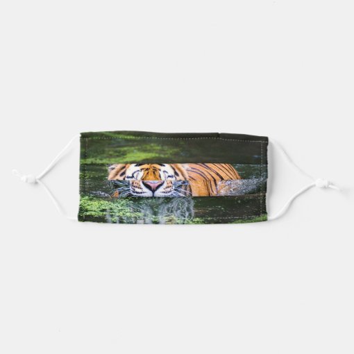 Bengal Tiger Beautiful Cat Lover Adult Cloth Face Mask | Zazzle