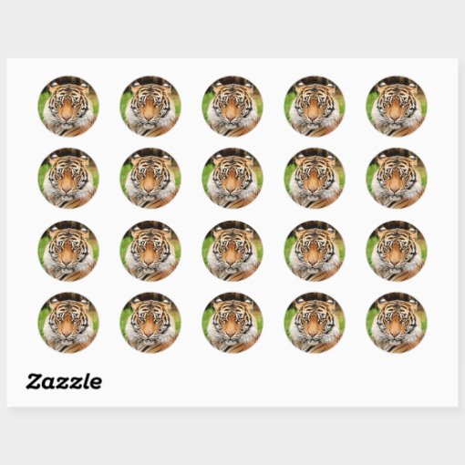 Bengal Tiger Classic Round Sticker | Zazzle