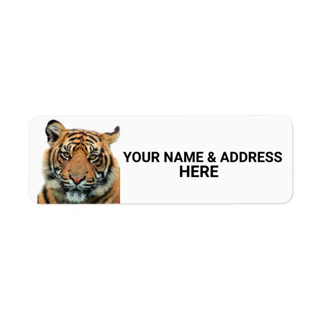 BENGAL TIGER RETURN ADDRESS LABELS | Zazzle