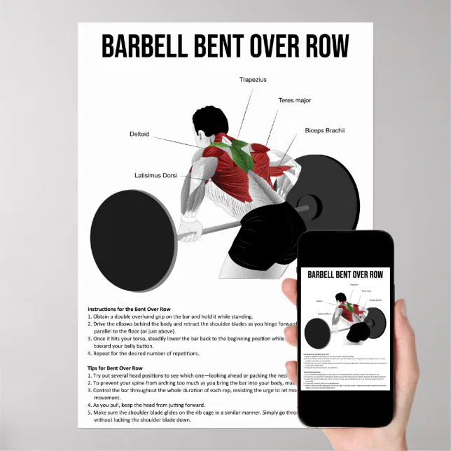 Bent Over Row - Exercise - Muscle Anatomy Chart | Zazzle