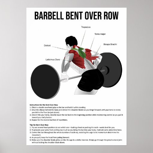 Bent Over Row - Exercise - Muscle Anatomy Chart | Zazzle