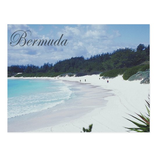 Bermuda Postcard | Zazzle.com