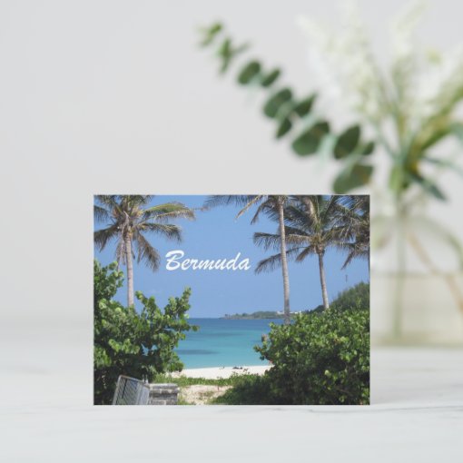 Bermuda Postcard | Zazzle