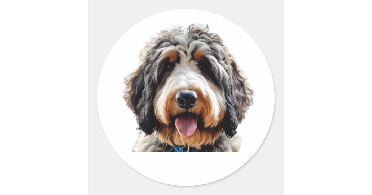 Bernedoodle Sticker | Zazzle