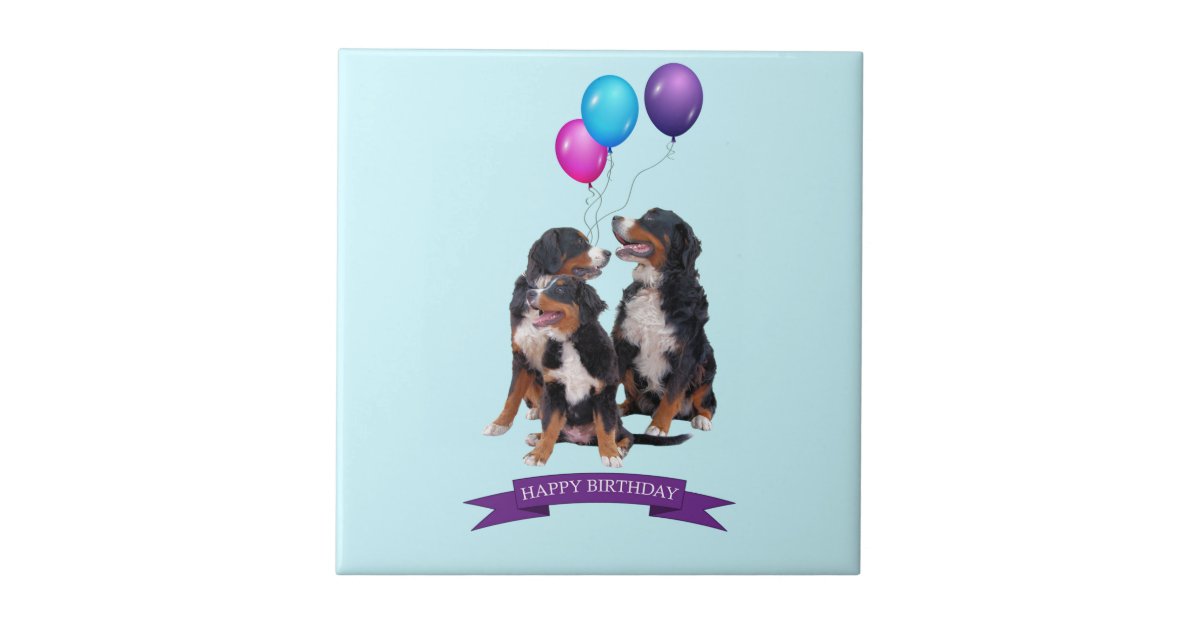 Bernese Mountain Dogs Happy Birthday Tile | Zazzle