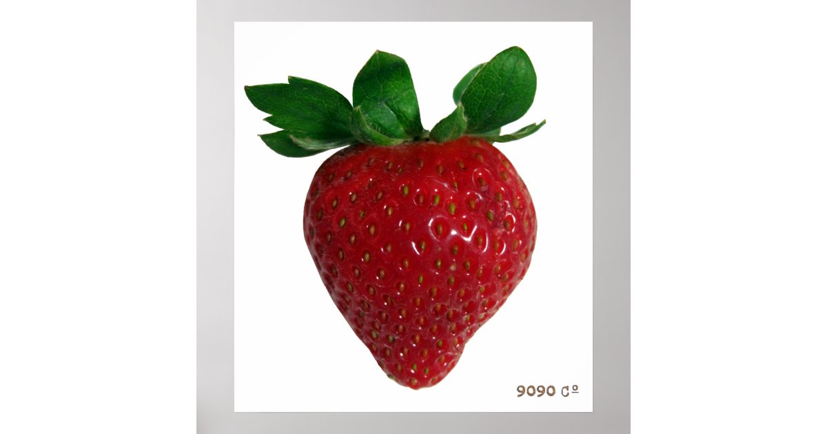 Berry Poster | Zazzle