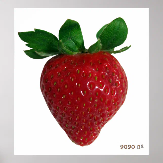 Berry Poster | Zazzle