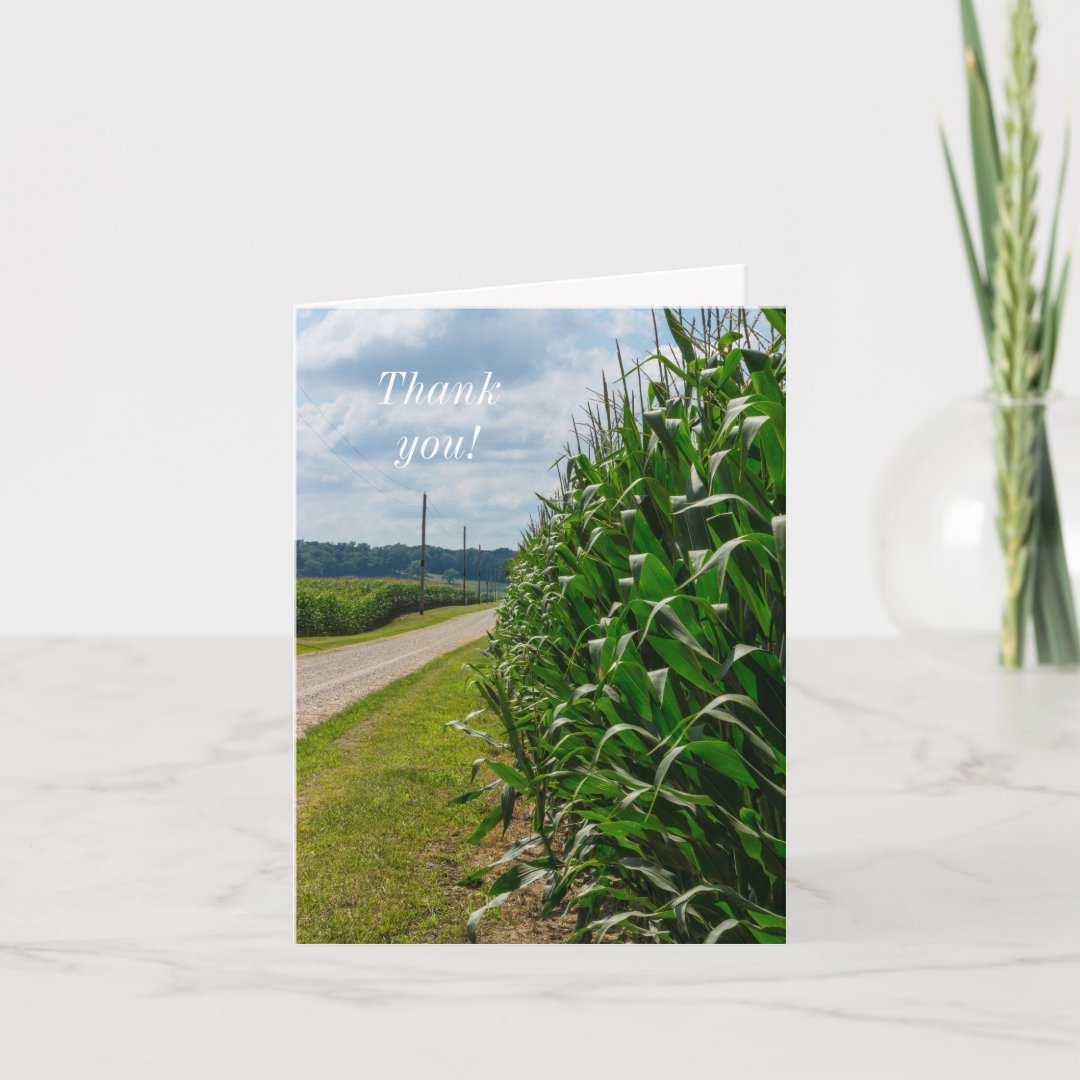 Beside A Corn Field Thank You Card | Zazzle
