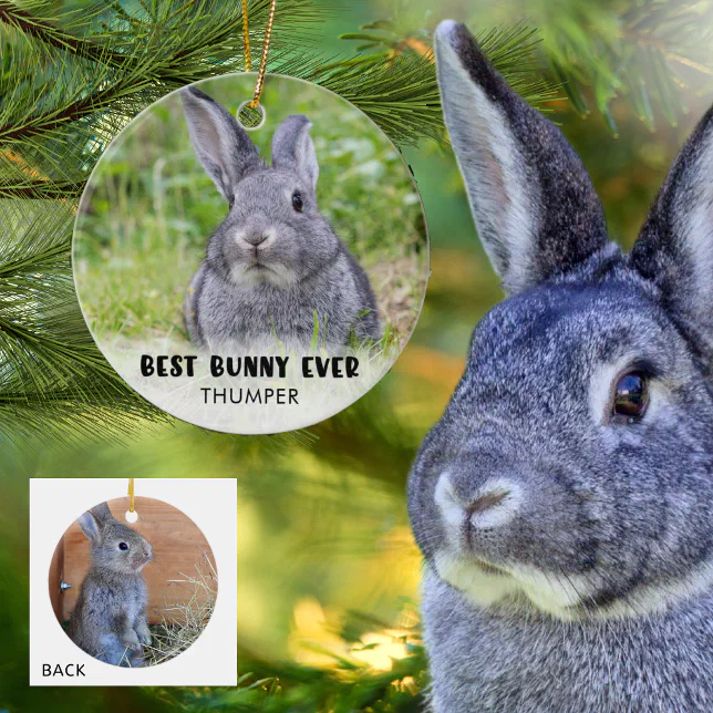 BEST BUNNY EVER Rabbit Photo Personalized Ceramic Ornament | Zazzle