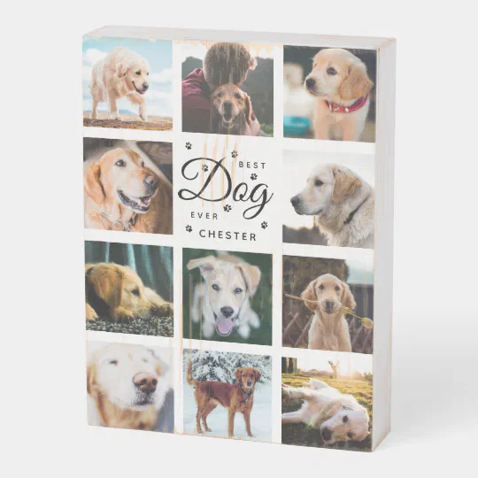 Best Dog Ever Memorial Rustic Photo Collage Paw Wooden Box Sign | Zazzle
