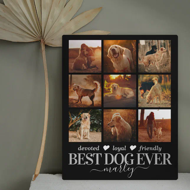 Best Dog Ever Photo - Pet Memorial Plaque | Zazzle