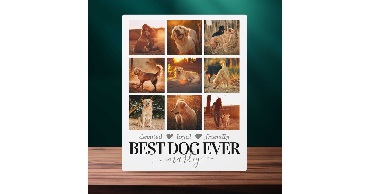 Best Dog Ever Photo Plaque | Zazzle