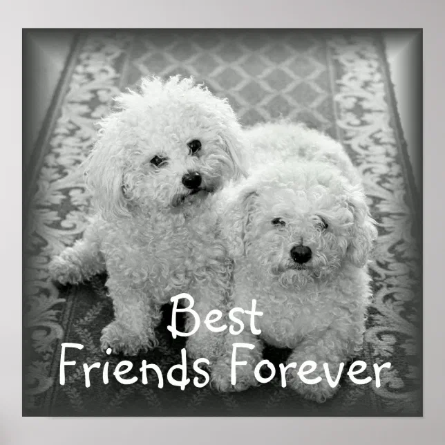 Best Friends Forever Poster Print | Zazzle
