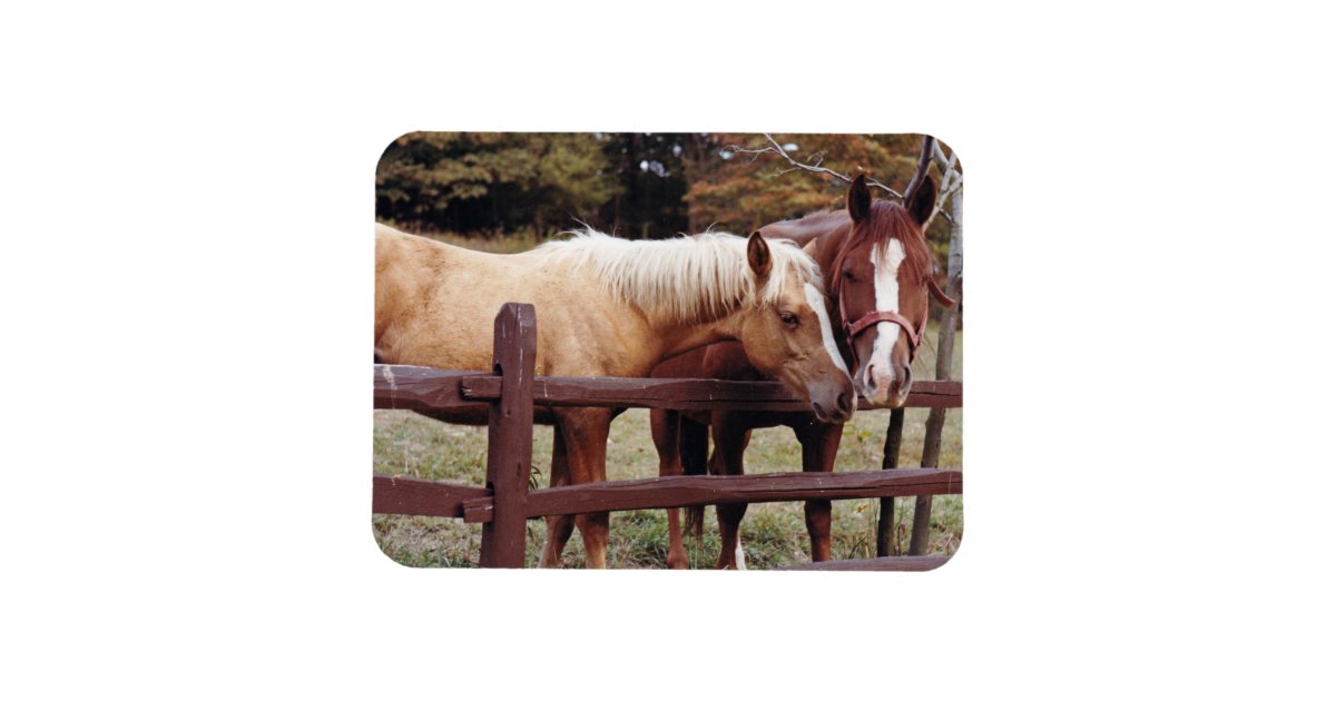 Best Friends Magnet | Zazzle