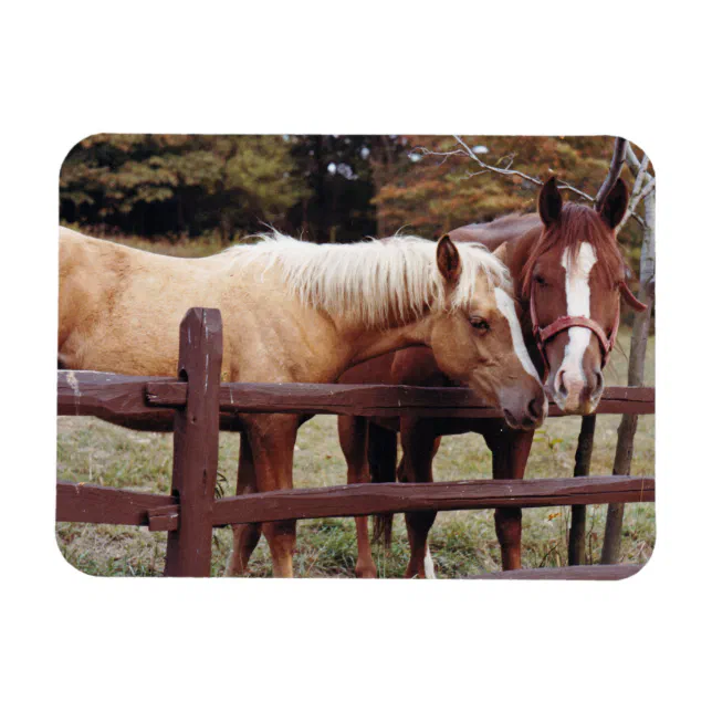 Best Friends Magnet | Zazzle