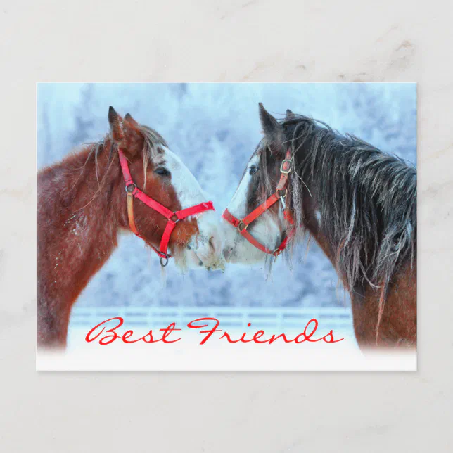 Best Friends Postcard | Zazzle