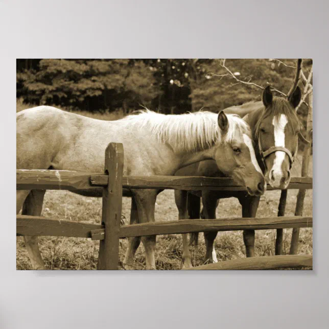 Best Friends Poster | Zazzle