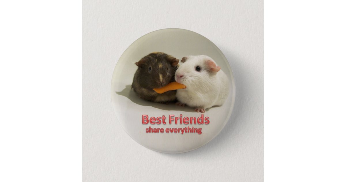 Best Friends share everything Button | Zazzle