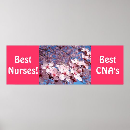 Best Nurses posters Best CNA's prints Nursing | Zazzle.com