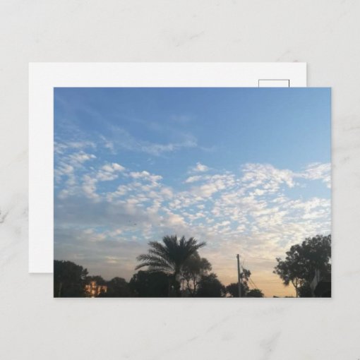 Best Postcard | Zazzle