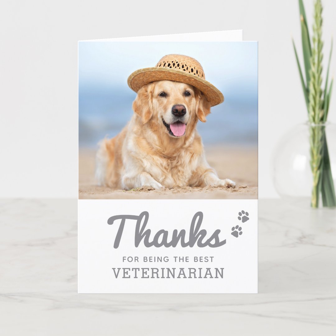Best Veterinarian Veterinary Paw Prints Pet Photo Thank You Card | Zazzle