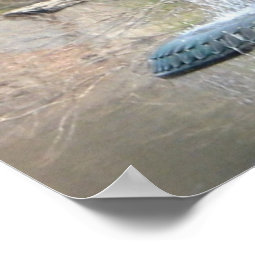 Bethesda Fountain Poster | Zazzle