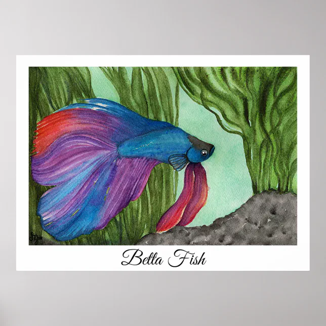 Betta Fish Poster | Zazzle