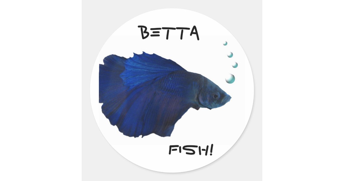 Betta Fish Sticker | Zazzle