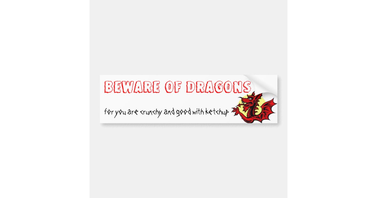 BEWARE OF DRAGONS BUMPER STICKER | Zazzle