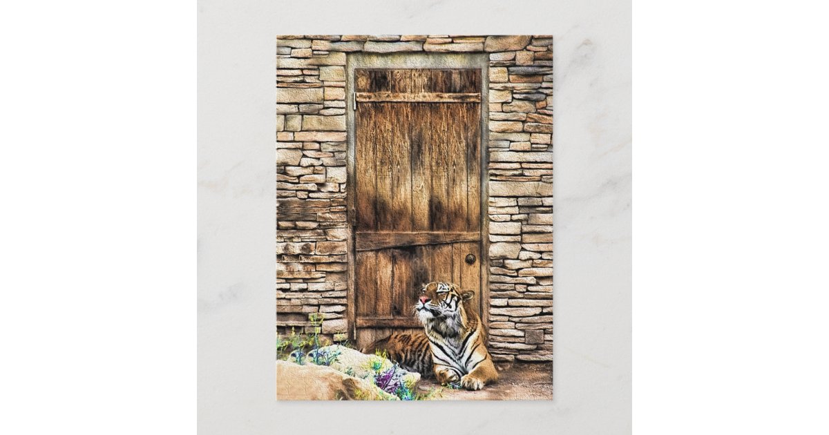 Beware of House Cat Wild Tiger at Cottage Door Postcard | Zazzle