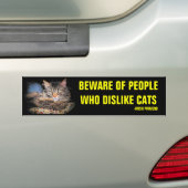 Beware of People Who Dislike Cats Irish Proverb Bumper Sticker | Zazzle