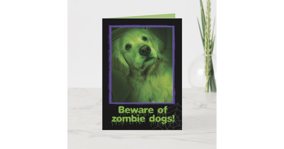 Beware of Zombie Dogs Golden Retriever Halloween Card | Zazzle