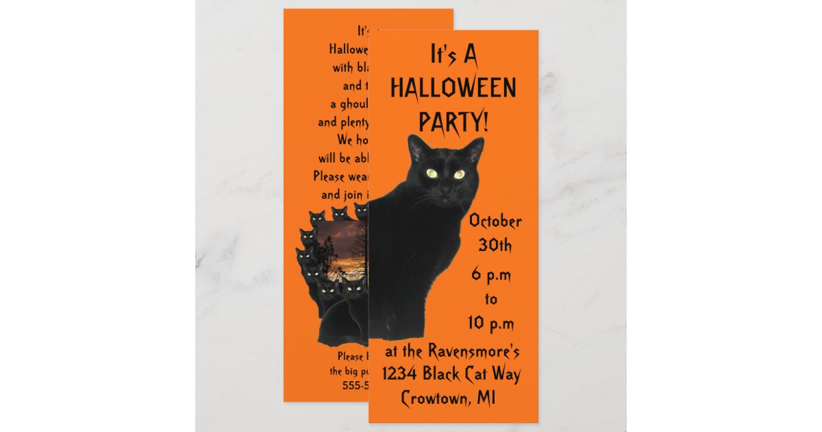 Bewitching Black Cat Halloween Party Invitation | Zazzle
