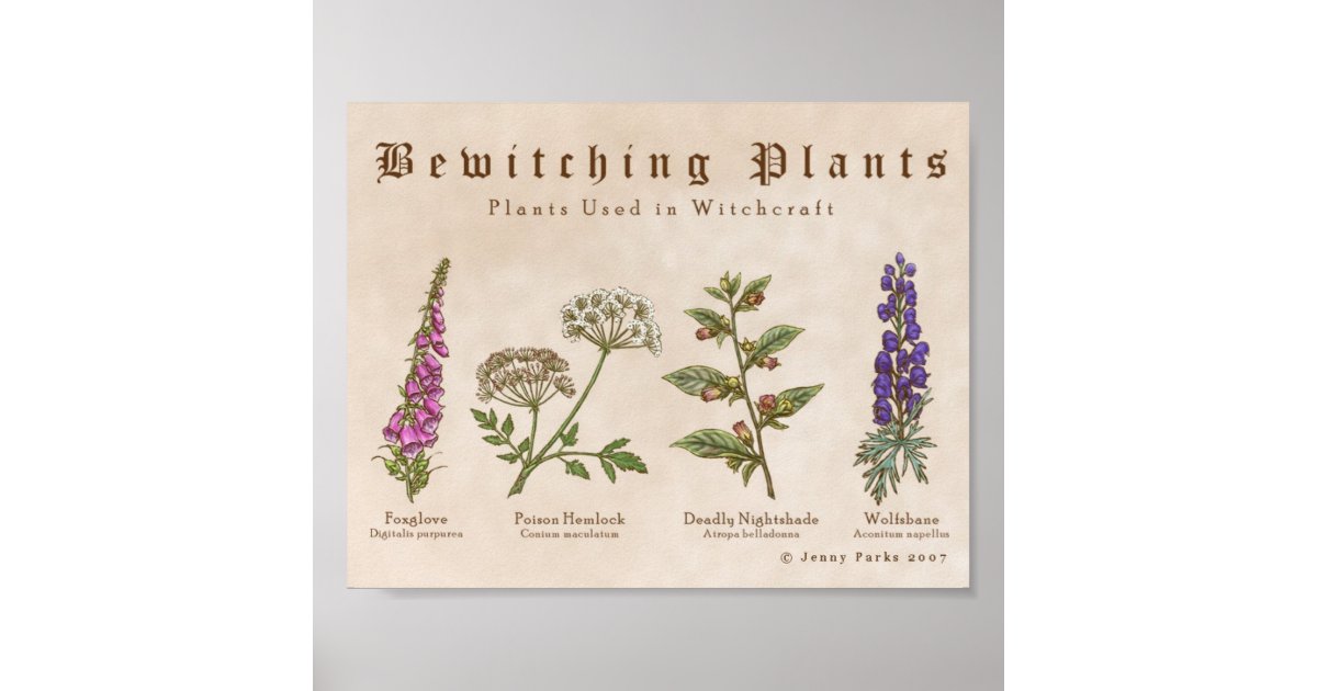 Bewitching Plants Print | Zazzle