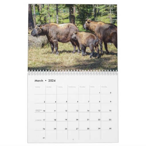 Bhutan Calendar | Zazzle