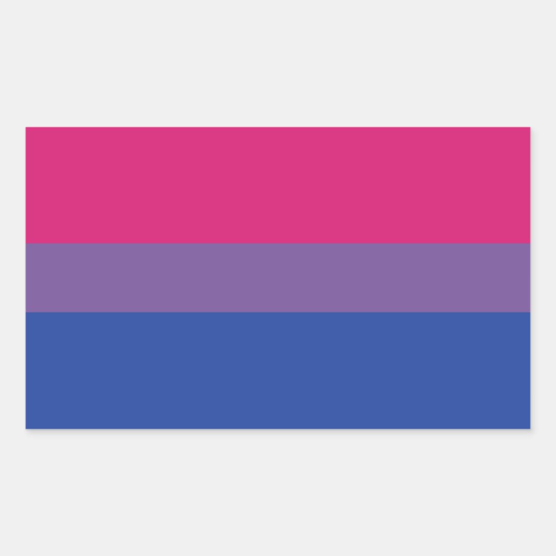 Bi Flag Rectangular Sticker | Zazzle