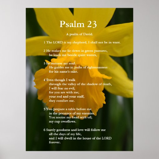 Bible Psalm 23 scripture verses. yellow daffodil Poster | Zazzle