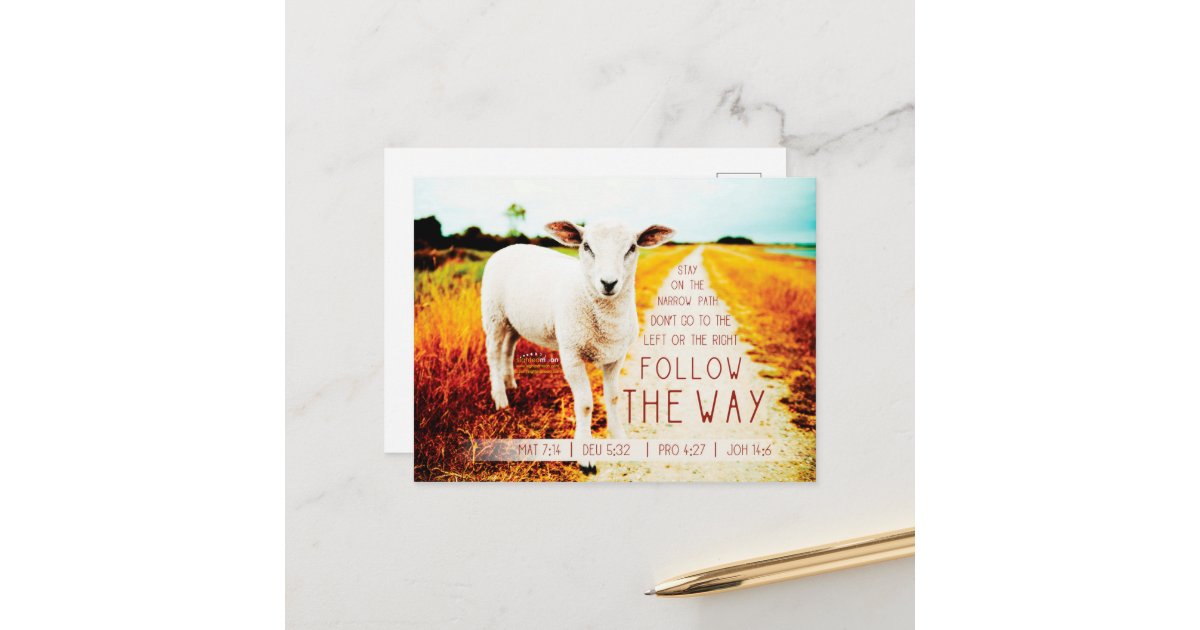 Bible Quote Follow the Way Postcard | Zazzle