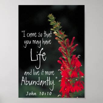 bible verse encouragement John 10:10 Poster | Zazzle