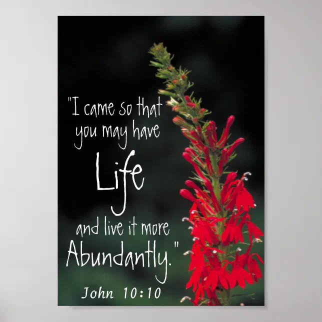 bible verse encouragement John 10:10 Poster | Zazzle