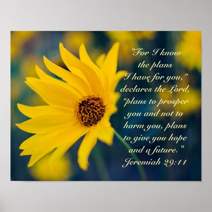Bible Verse Jeremiah 29:11, Yellow Wildflower Poster | Zazzle.com